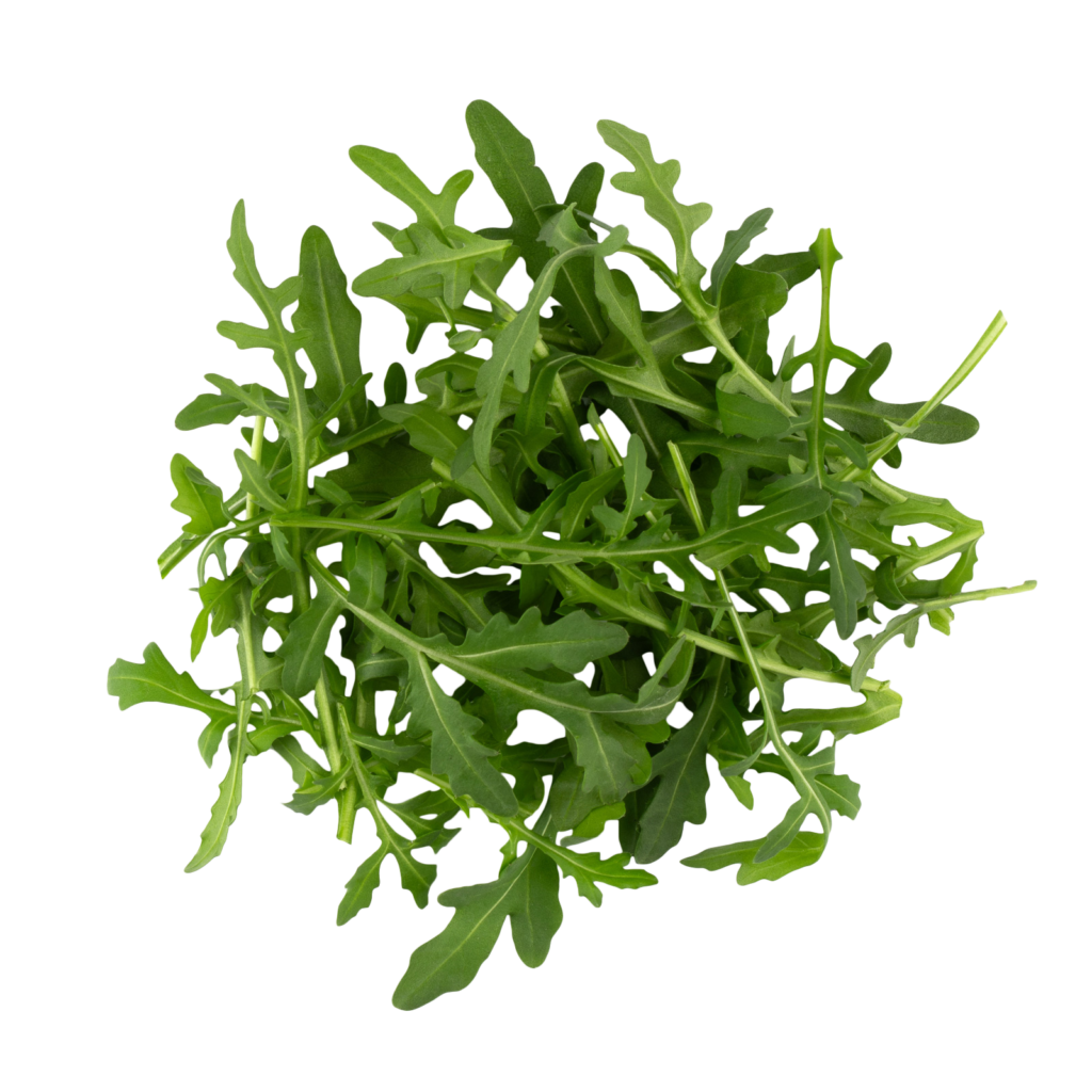 Our Single-ingredient Salads - La Veneta